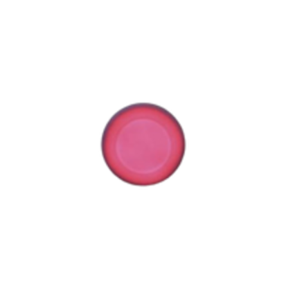 Bouton Piezo RGB Plastique POM CCEI 22 mm Nage Contre-Courant | Pool Planet
